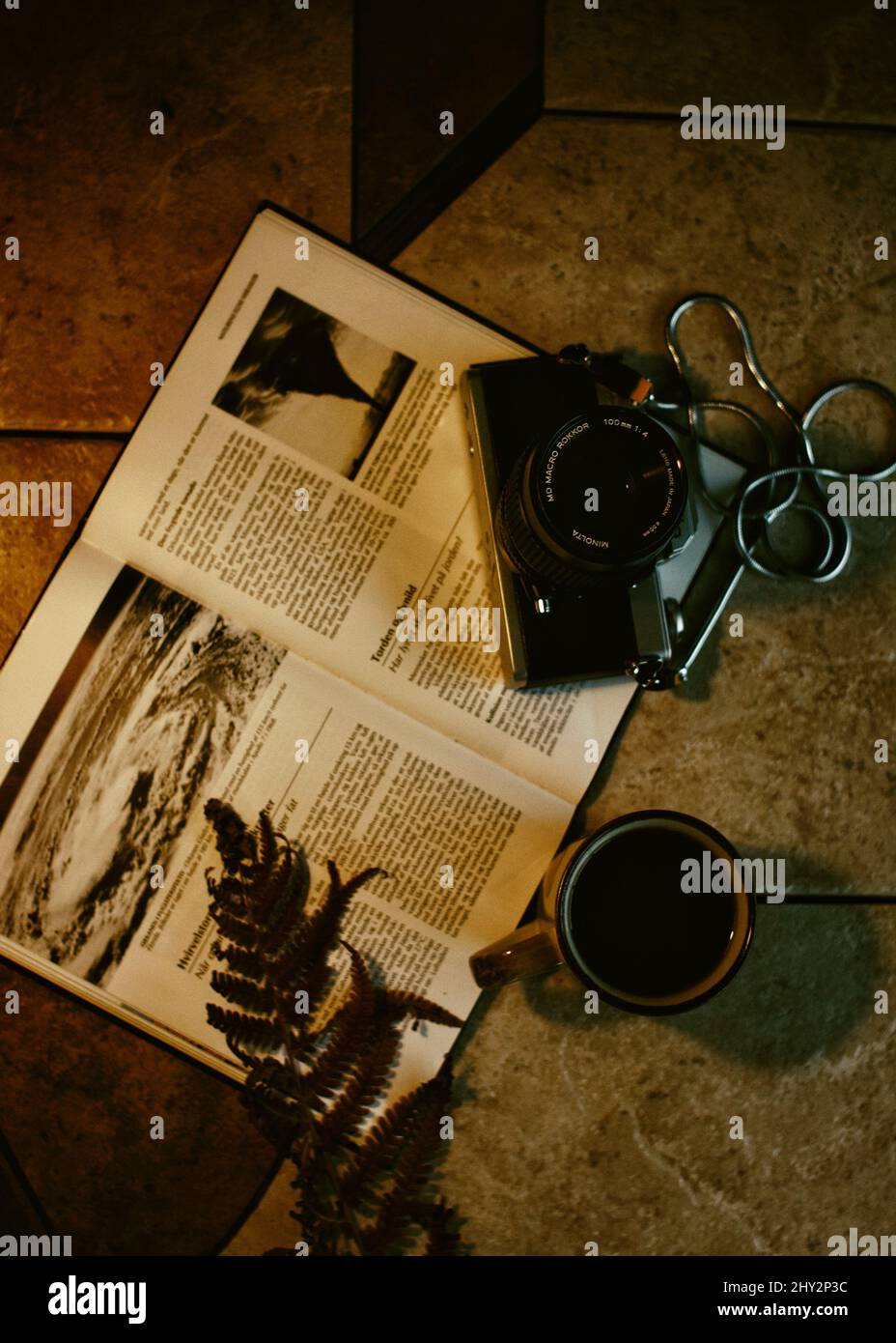 Vintage camera aesthetics hi-res stock photography and images - Alamy