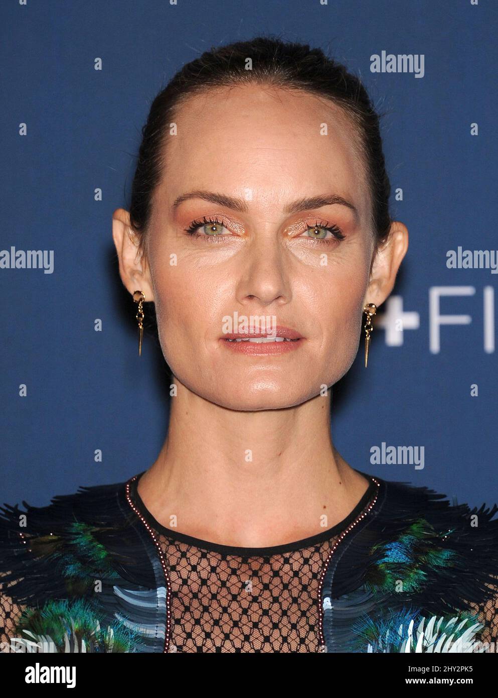 Amber Valetta attending the LACMA 2013 Art + Film Gala in Los Angeles ...