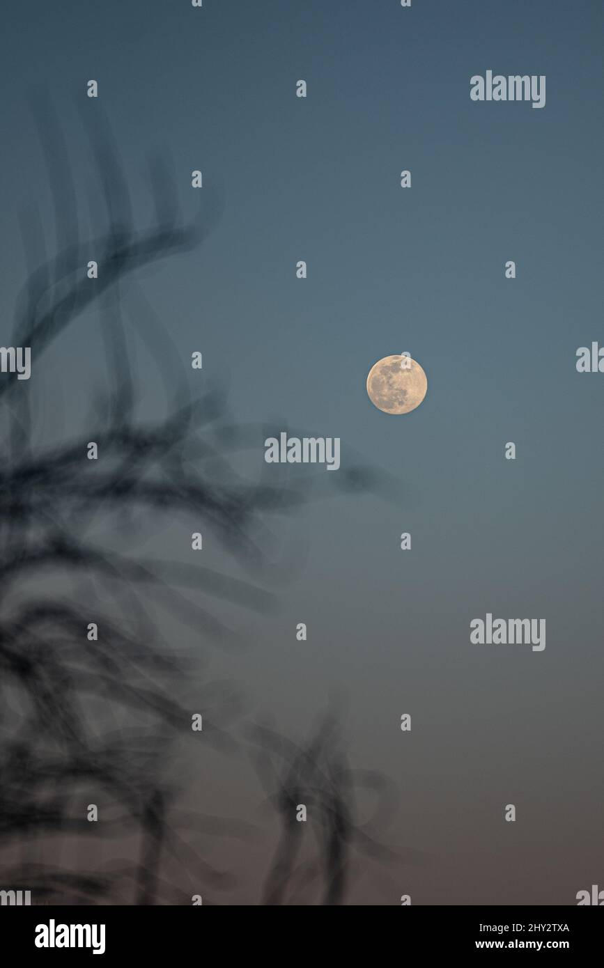 Moon virginia hi-res stock photography and images - Alamy