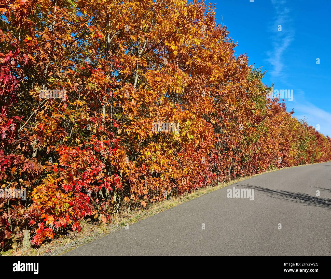Beautiful road beside red hi-res stock photography and images - Alamy