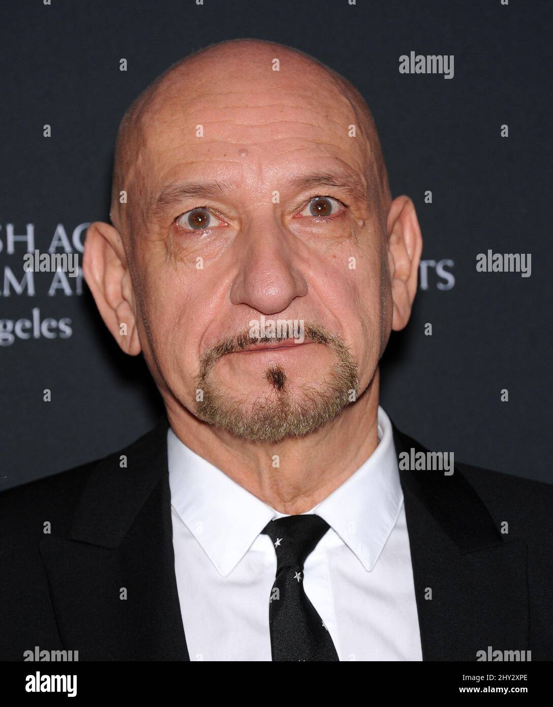 Sir Ben Kingsley attends the BAFTA LA Jaguar Britannia Awards 2013 at ...