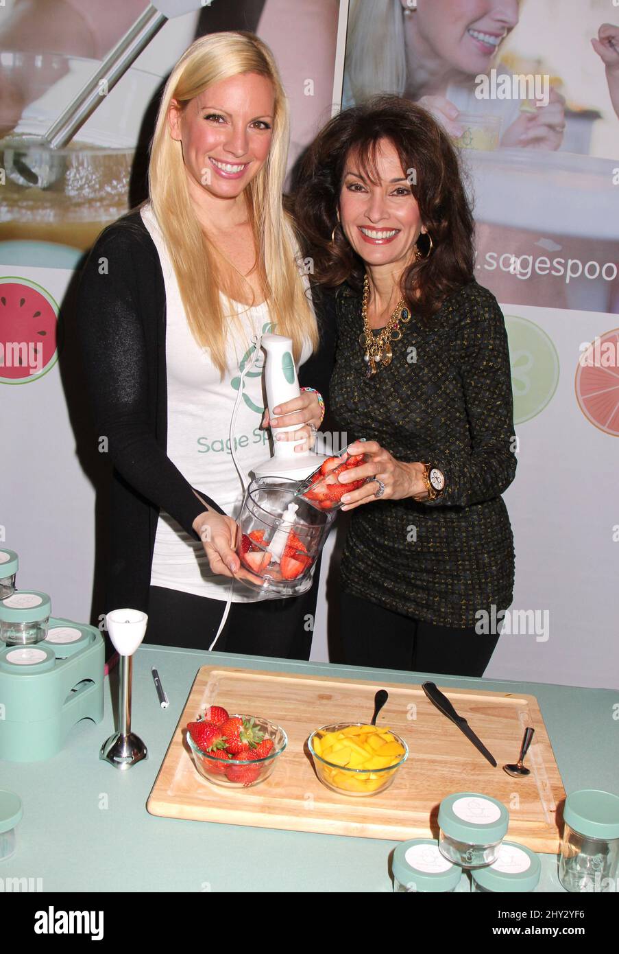 Liza Huber and Susan Lucci attends the 18th Annual Biggest Baby Shower ...