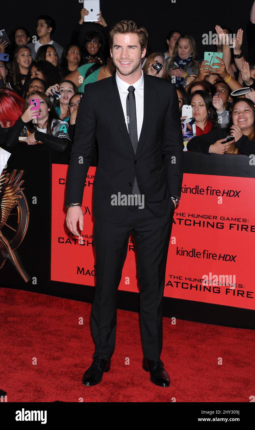Liam Hemsworth The Hunger Games Catching Fire