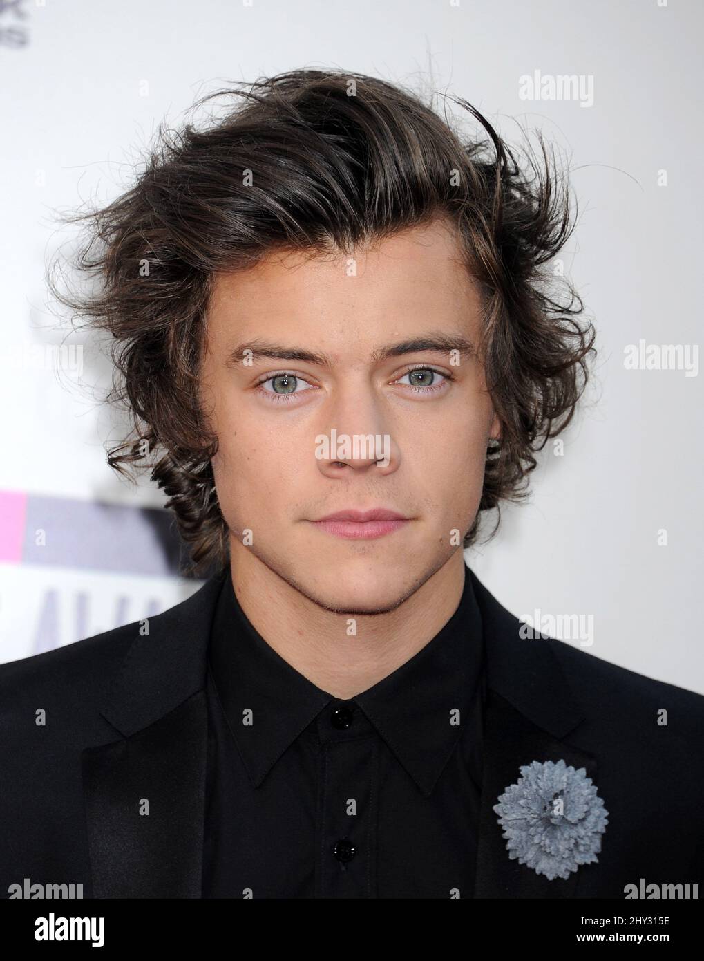 Harry Styles, One Direction attending the 2013 American Music Awards ...