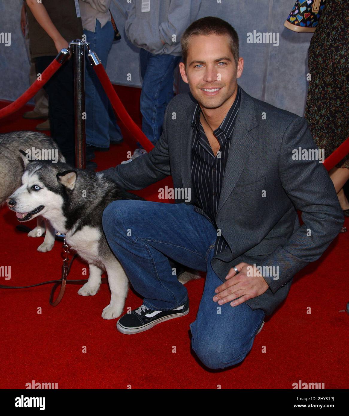 Paul Walker Eight Below Premiere