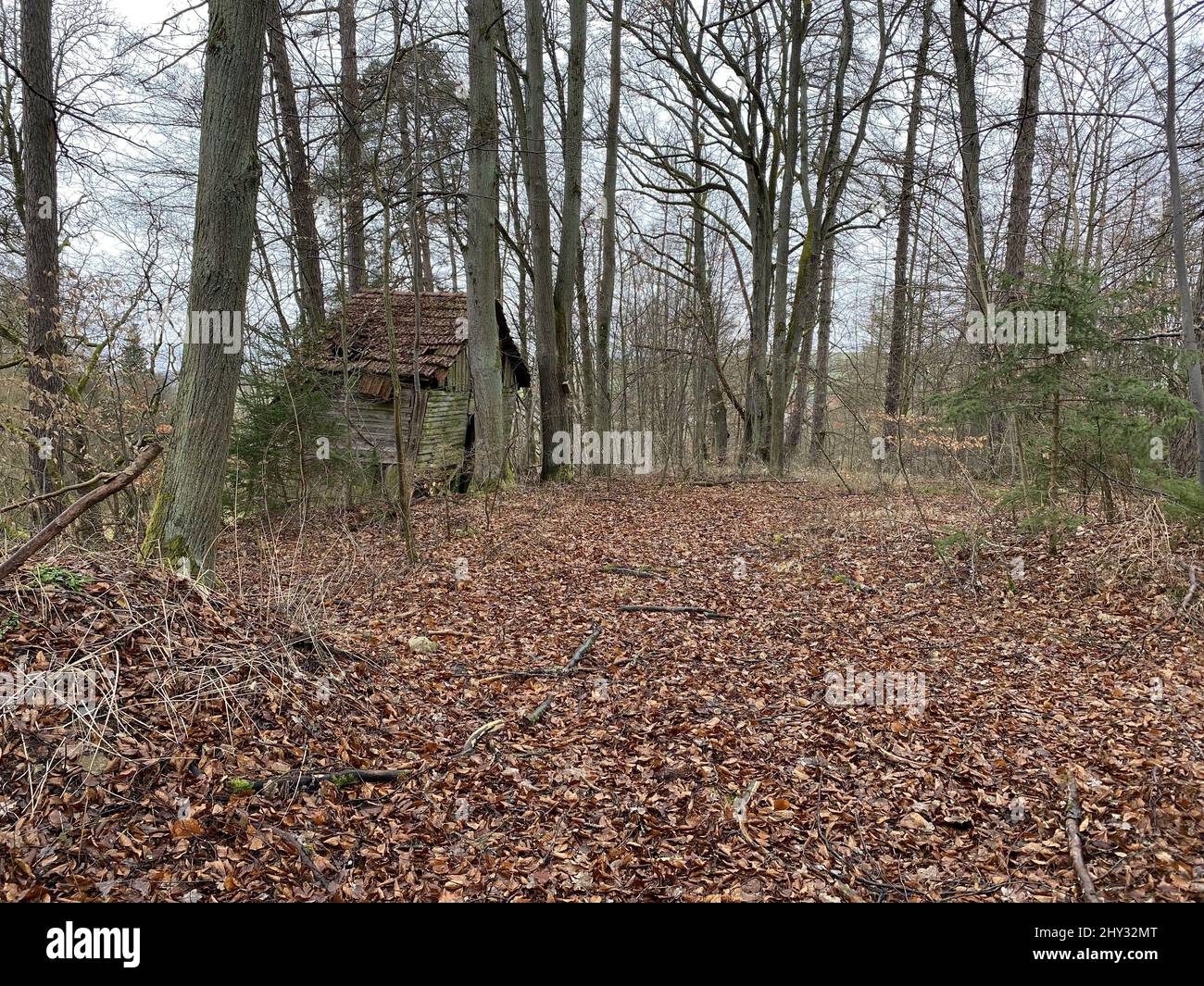 A broken wooden house in a forest Stock Photo - Alamy