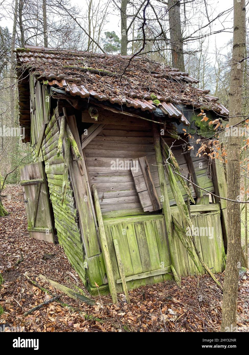 Broken wooden house in a forest Stock Photo - Alamy