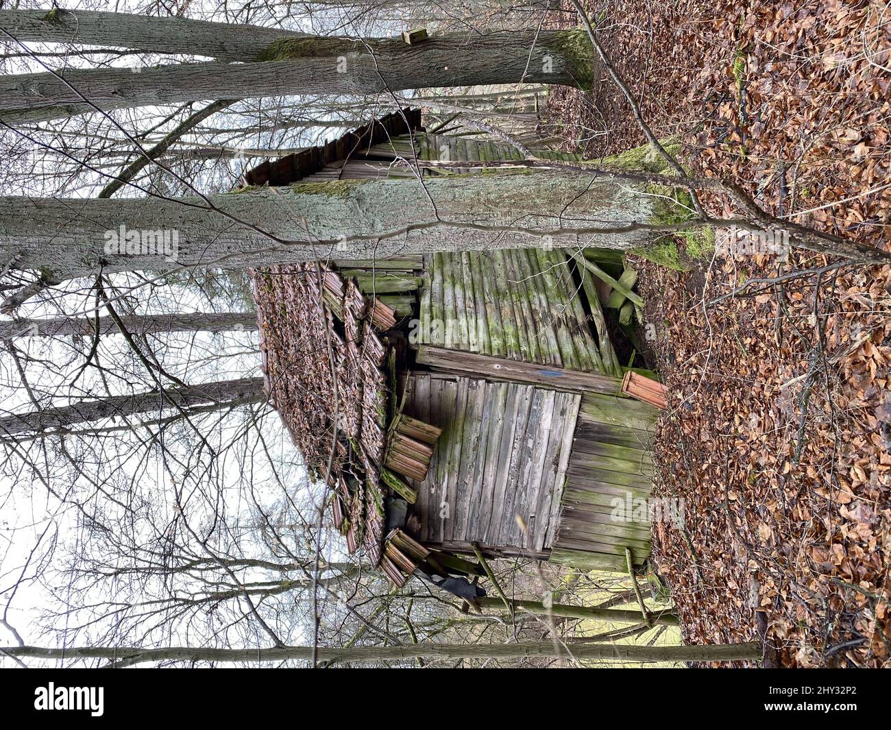 Broken wooden house in a forest Stock Photo - Alamy