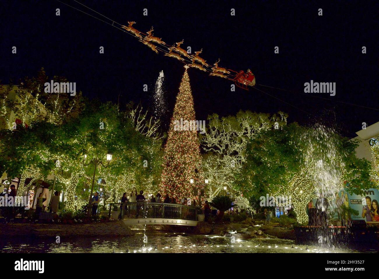 Grove christmas tree lights hi-res stock photography and images - Alamy
