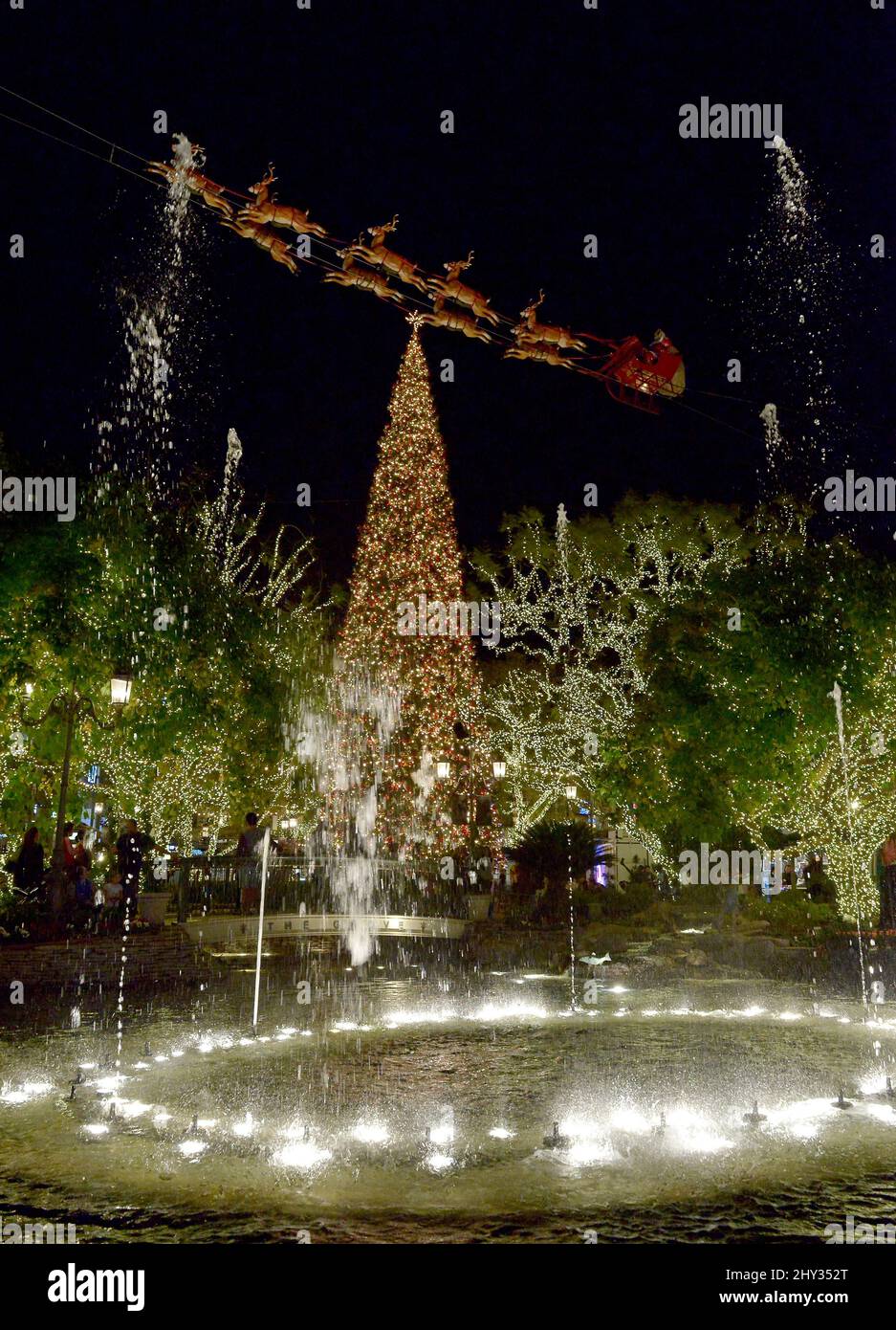 Grove christmas tree lights hi-res stock photography and images - Alamy