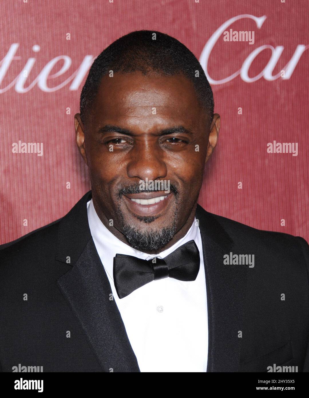 Idris Elba attends the 25th Annual Palm Springs International Film ...