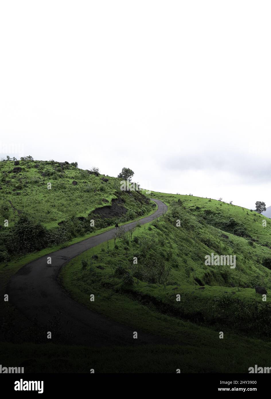Picturesque view of the road surrounded by green nature Stock Photo - Alamy