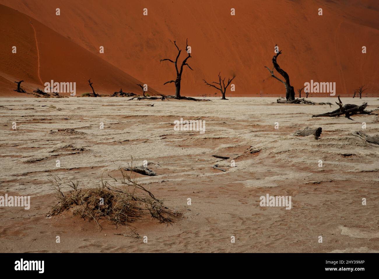 Burnt trees in Deadvlei in Namib-Naukluft National Park, Namibia Stock ...
