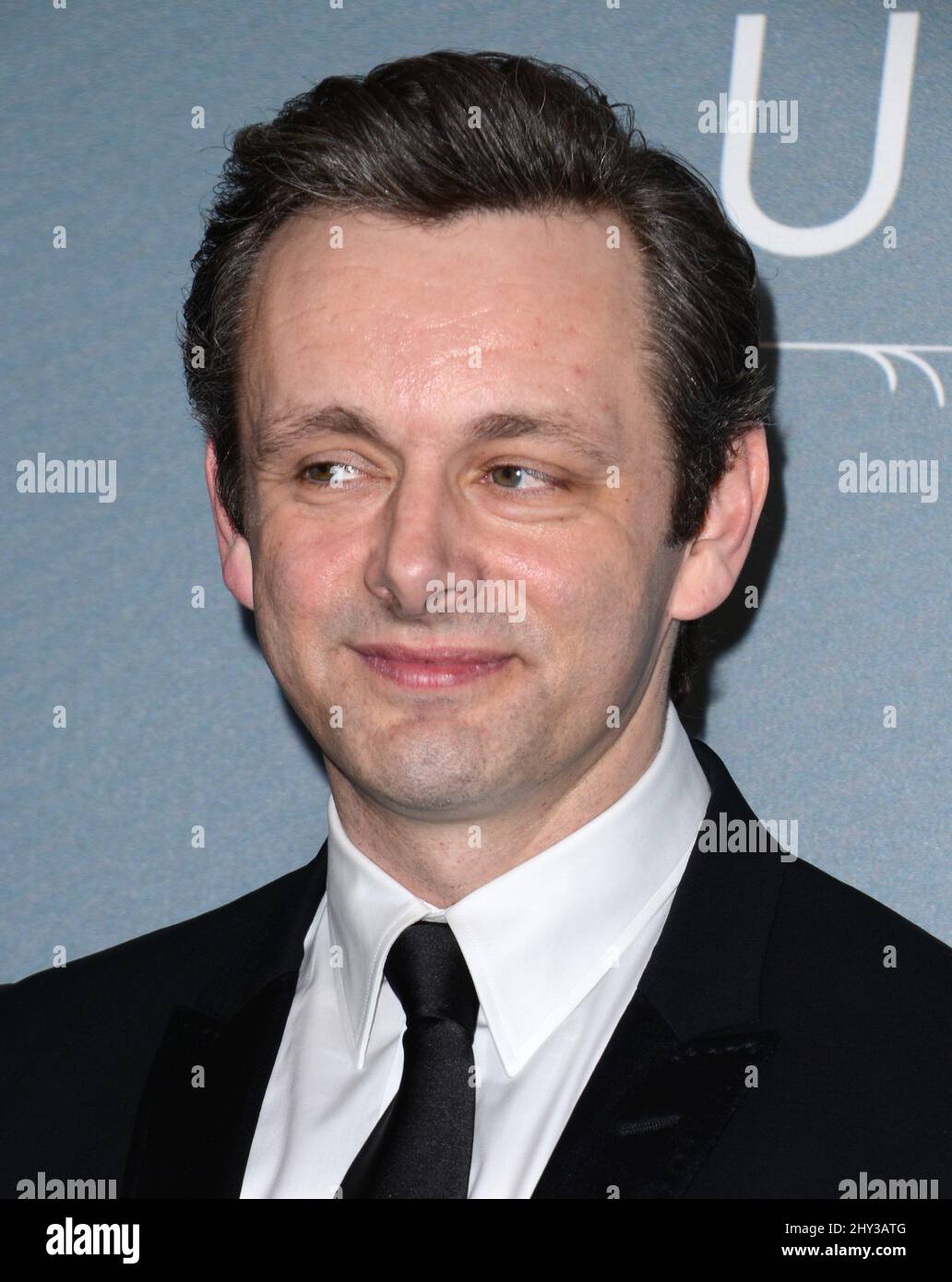 Michael Sheen attending the 2014 UNICEF Ball in Los Angeles Stock Photo ...