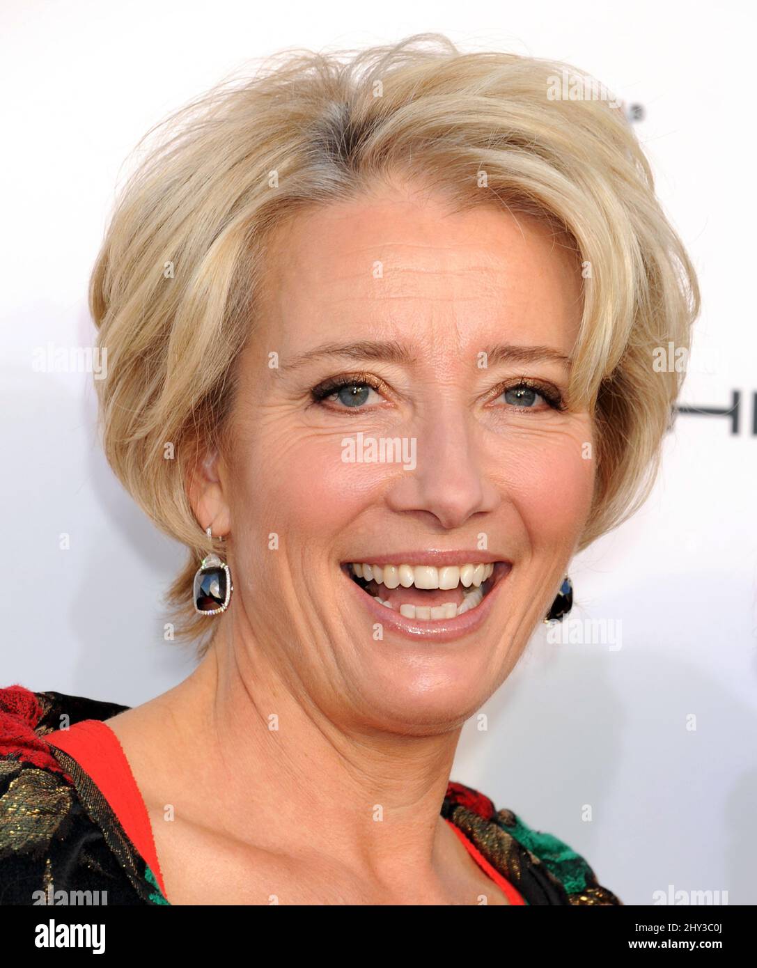 Emma Thompson attending the 19th Annual Critics' Choice Movie Awards at ...