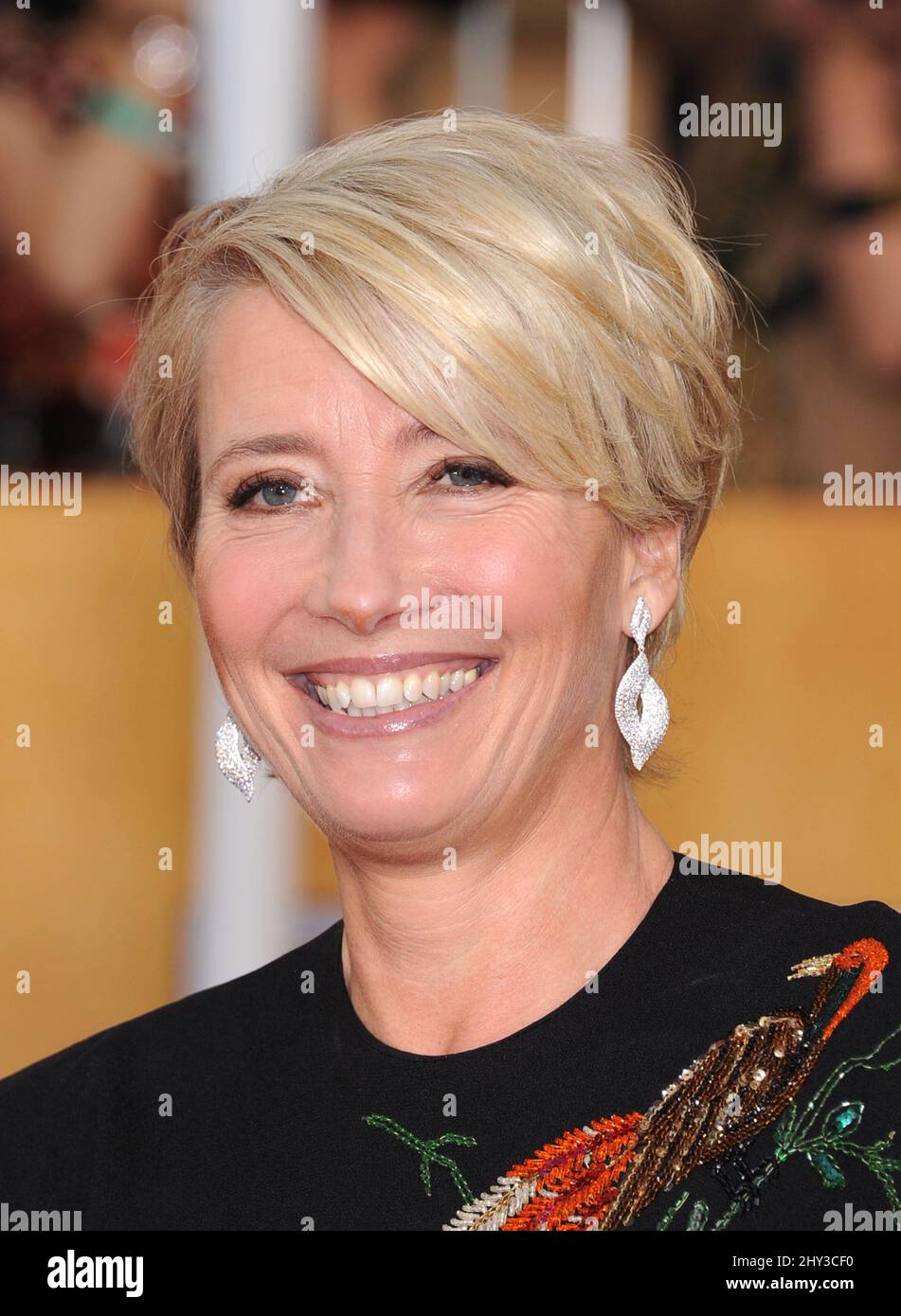 Emma Thompson Sag Emma Thompson Attends 20th Annual Screen Actors