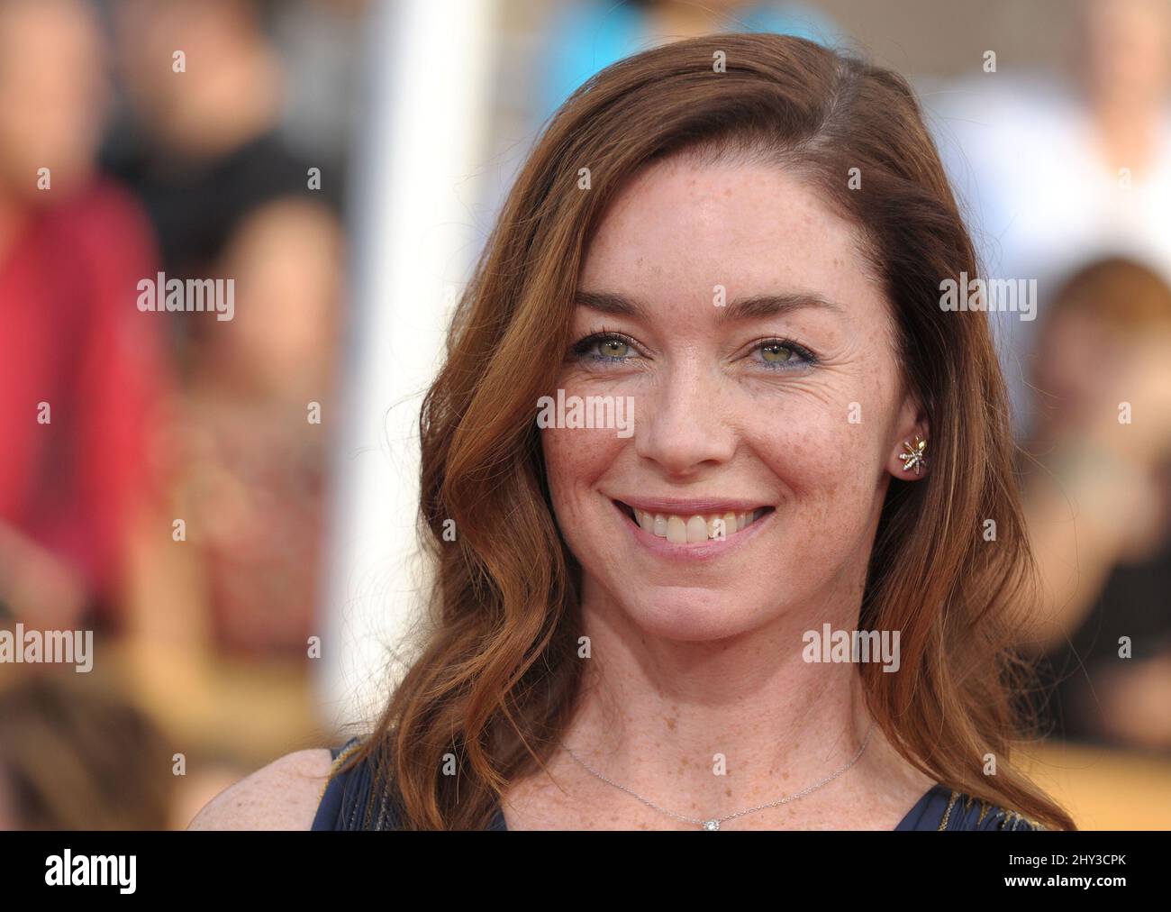 Julianne Nicholson Attends The 20th Annual Sag Awards At Shrine