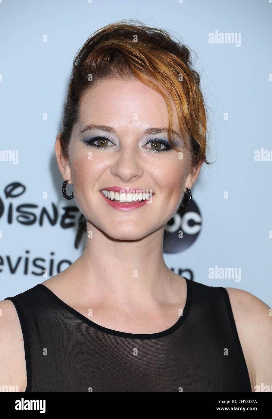 Sarah Drew attending the ABC Television Group Winter TCA Press Tour ...