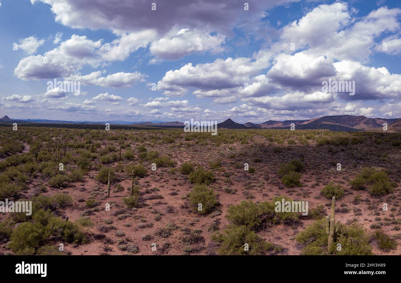 Tonto National Forest in Arizona with Native American ruins, Hohokam ...