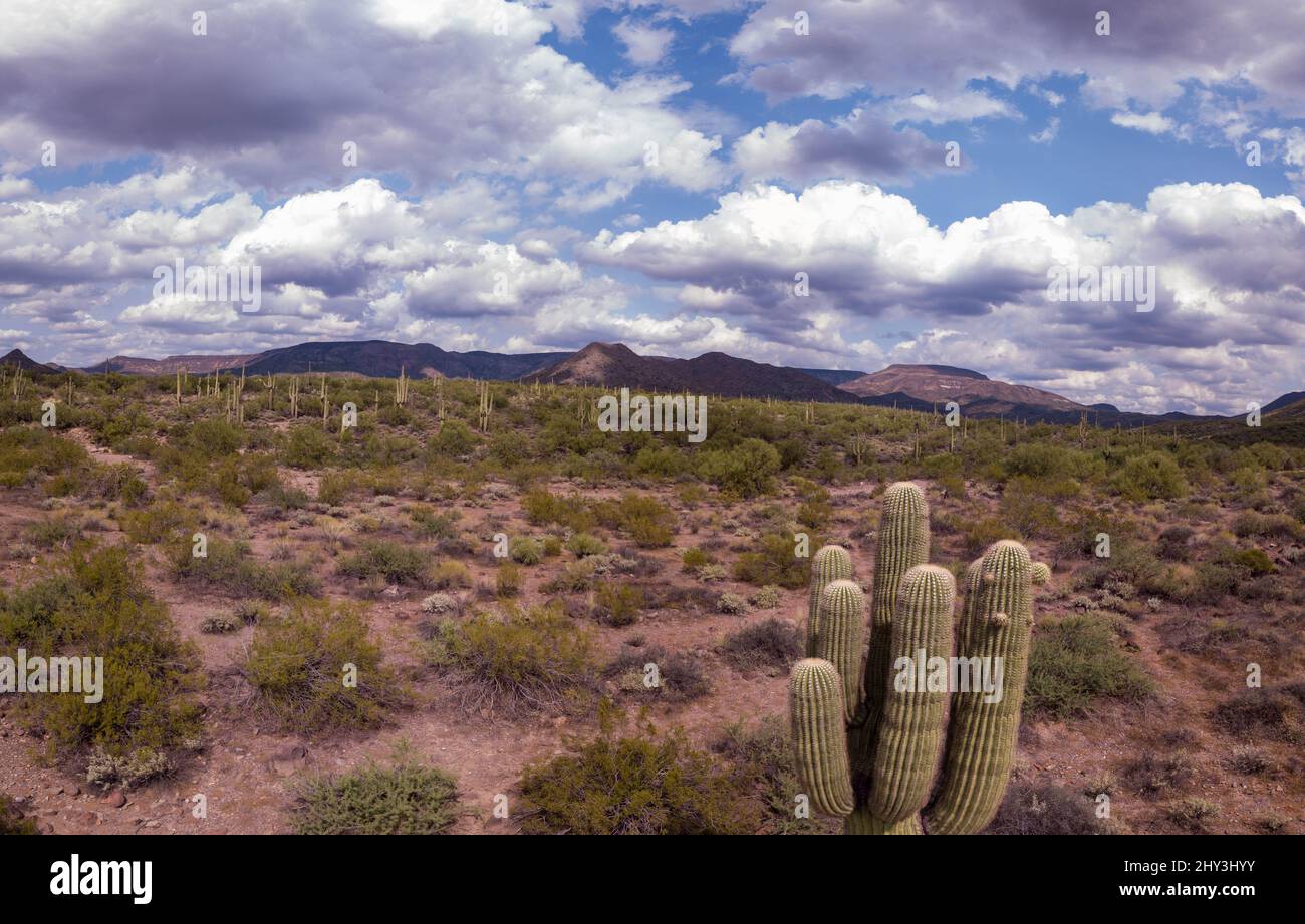 Tonto National Forest in Arizona with Native American ruins, Hohokam ...