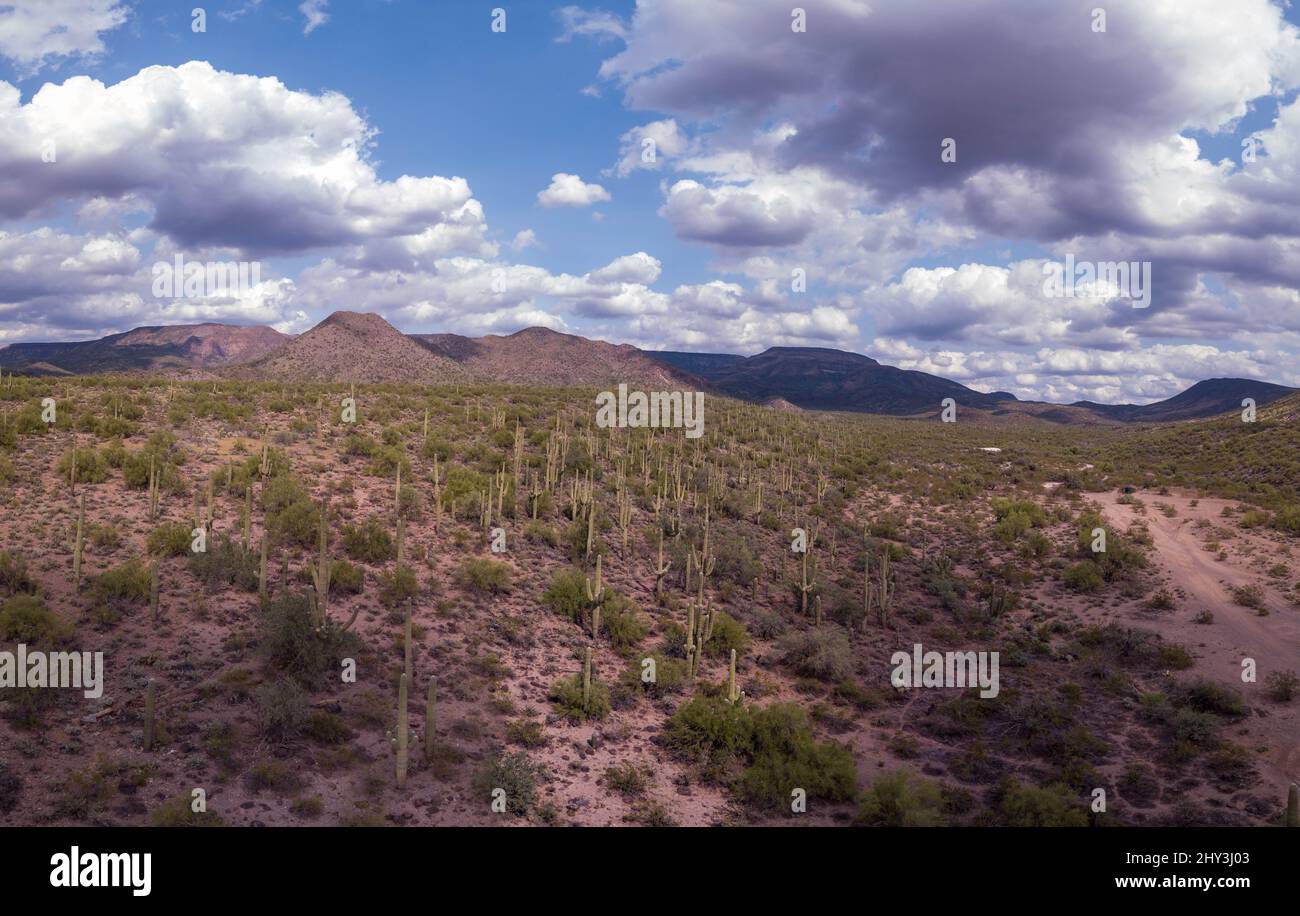 Tonto National Forest in Arizona with Native American ruins, Hohokam ...
