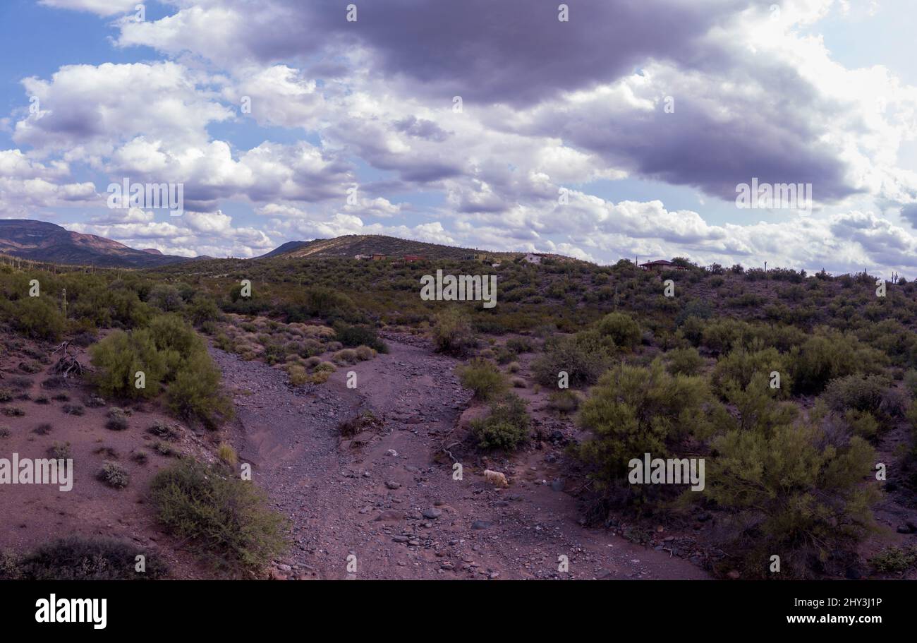 Landscape view at Tonto National Forest, Arizona Stock Photo - Alamy