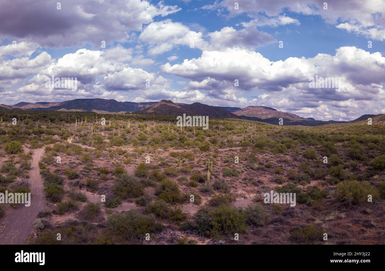 Tonto National Forest in Arizona with Native American ruins, Hohokam ...