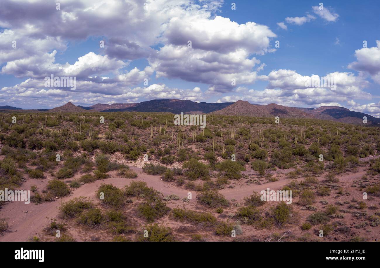 Beautiful view of Tonto National Forest in Arizona under a cloudy sky ...