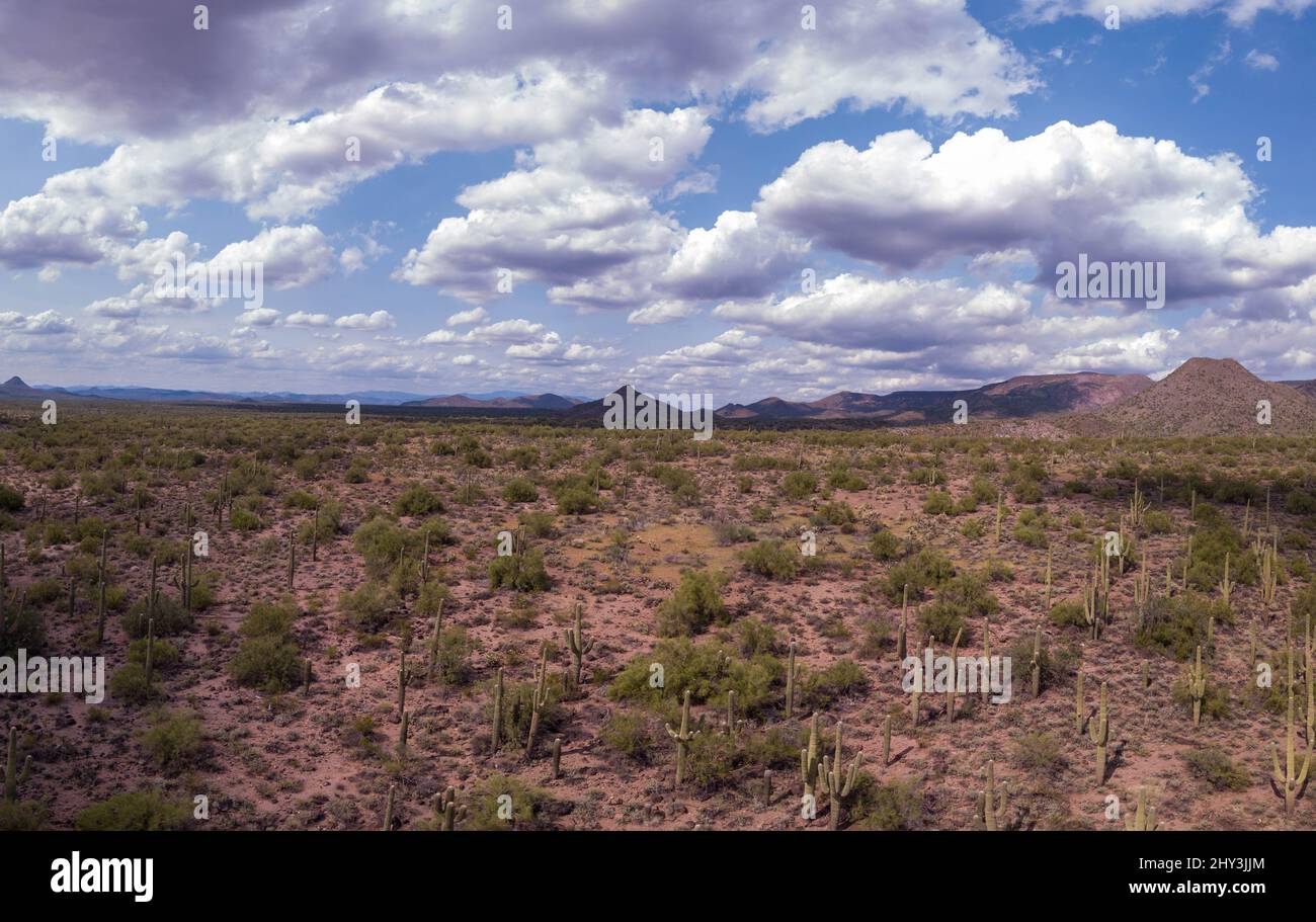 Tonto National Forest in Arizona with Native American ruins, Hohokam ...