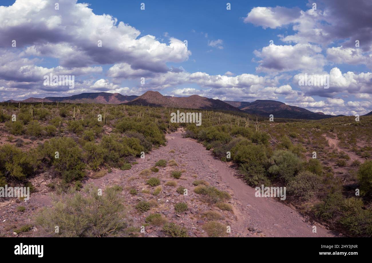 Beautiful view of Tonto National Forest in Arizona under a cloudy sky ...