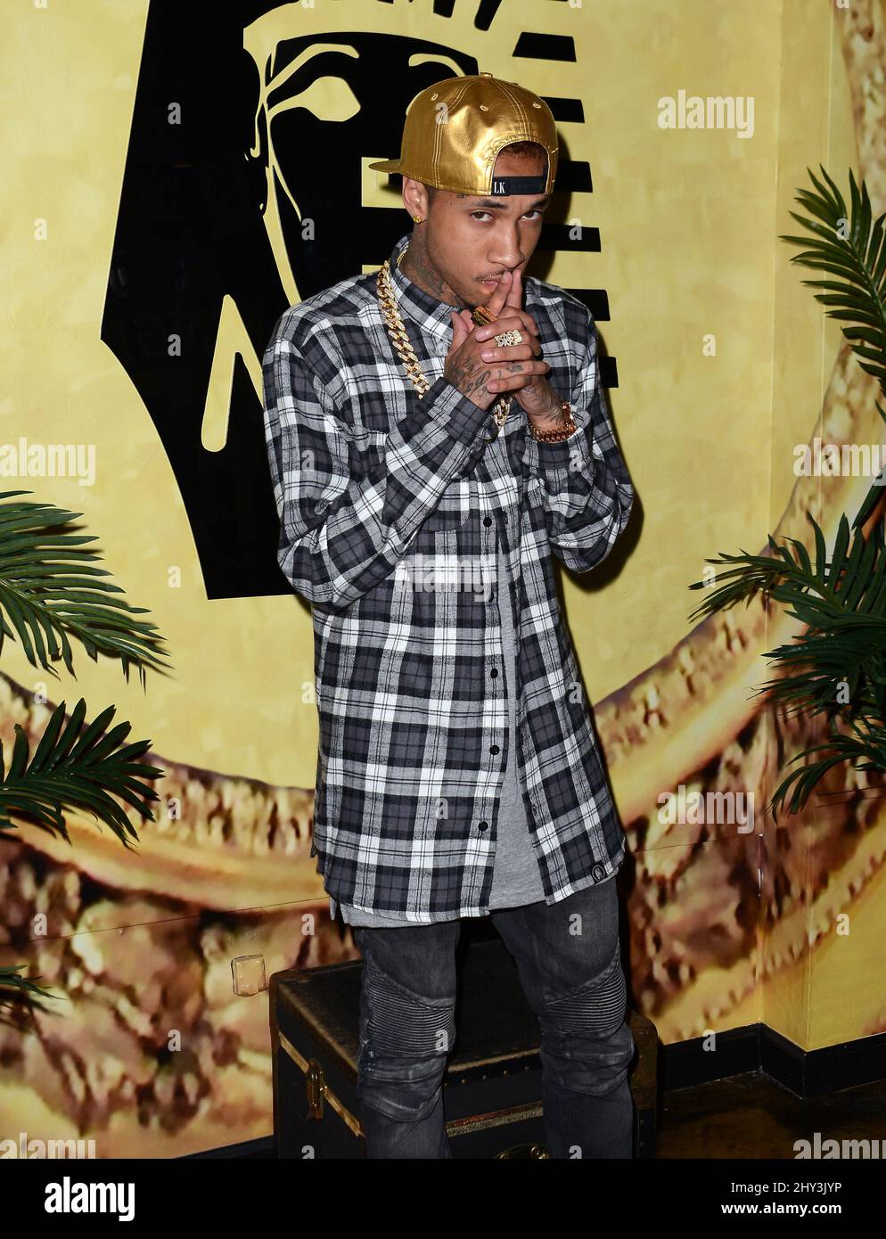 Tygas hi-res stock photography and images - Alamy