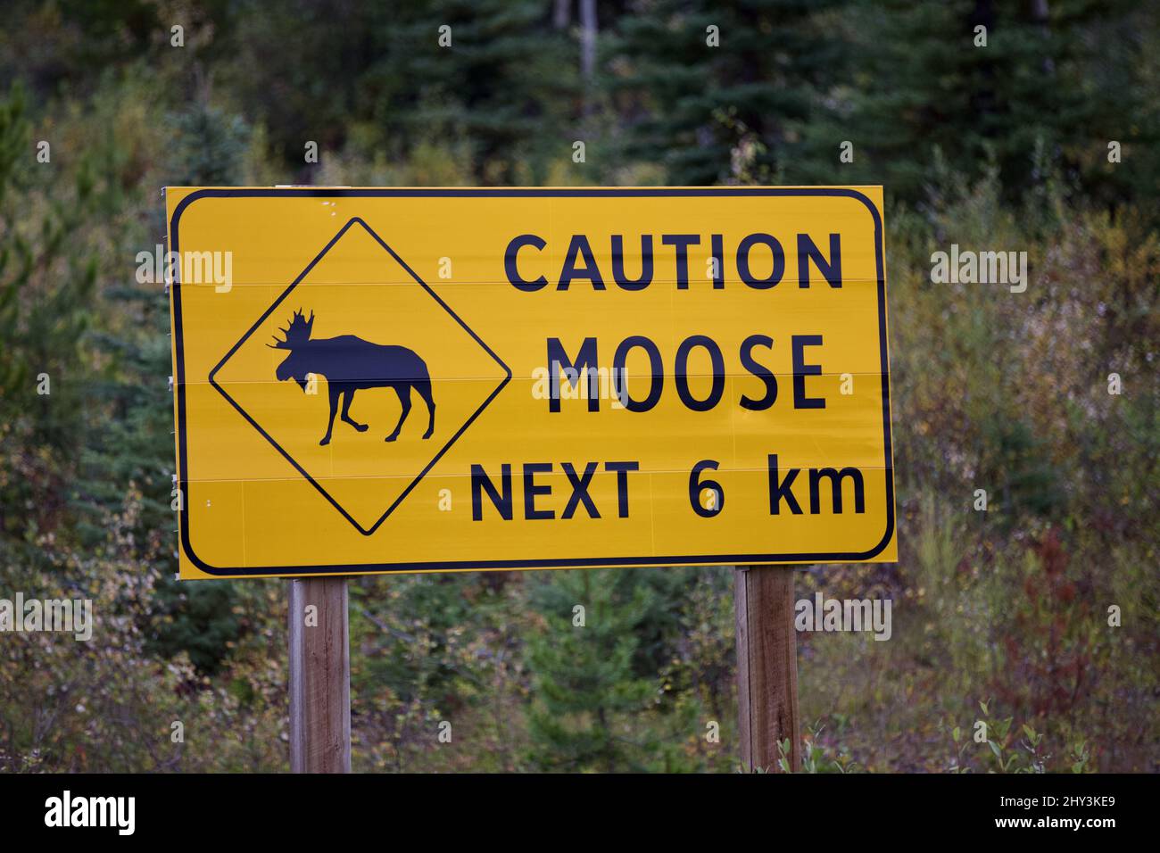 Moose warning sign fall hi-res stock photography and images - Alamy