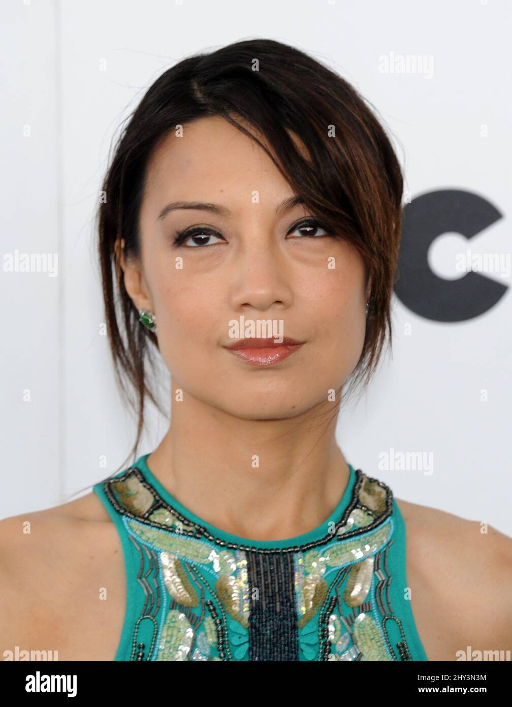 Ming-Na Wen attending the Film Independent Spirit Awards 2014 Stock ...