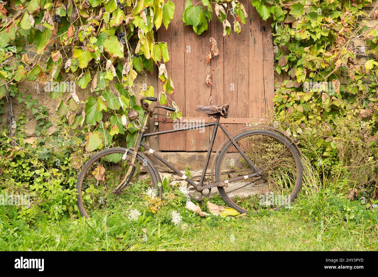 Shot of a 100-year-old bicycle in the background of an old farmhouse ...