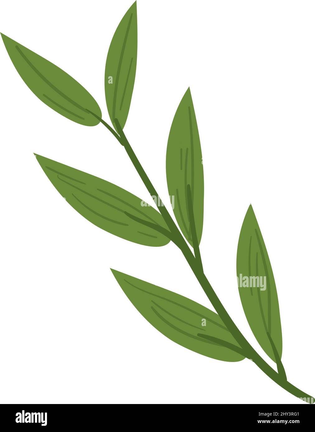 green branch design Stock Vector Image & Art - Alamy