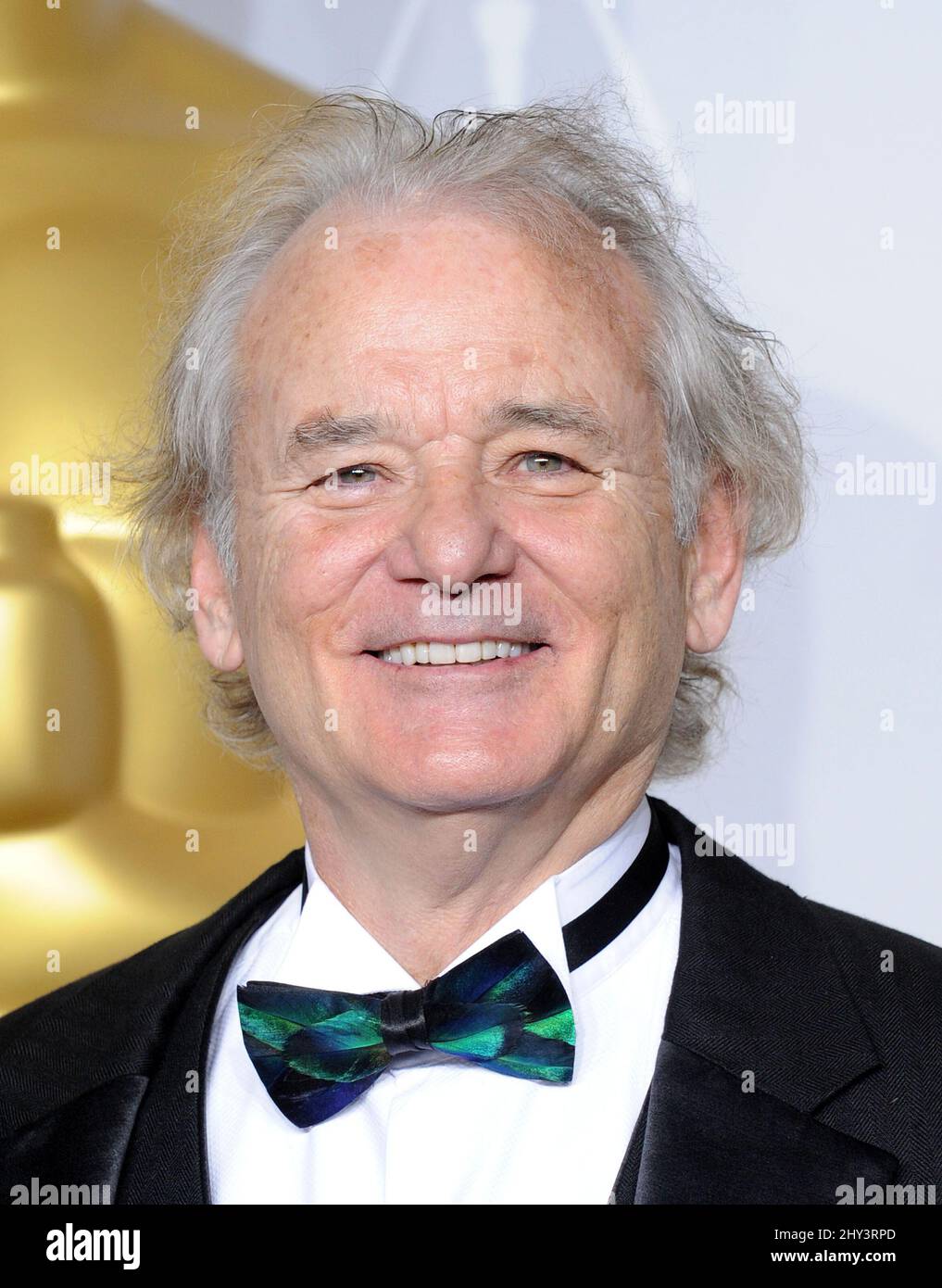 Bill murray inside hi-res stock photography and images - Alamy