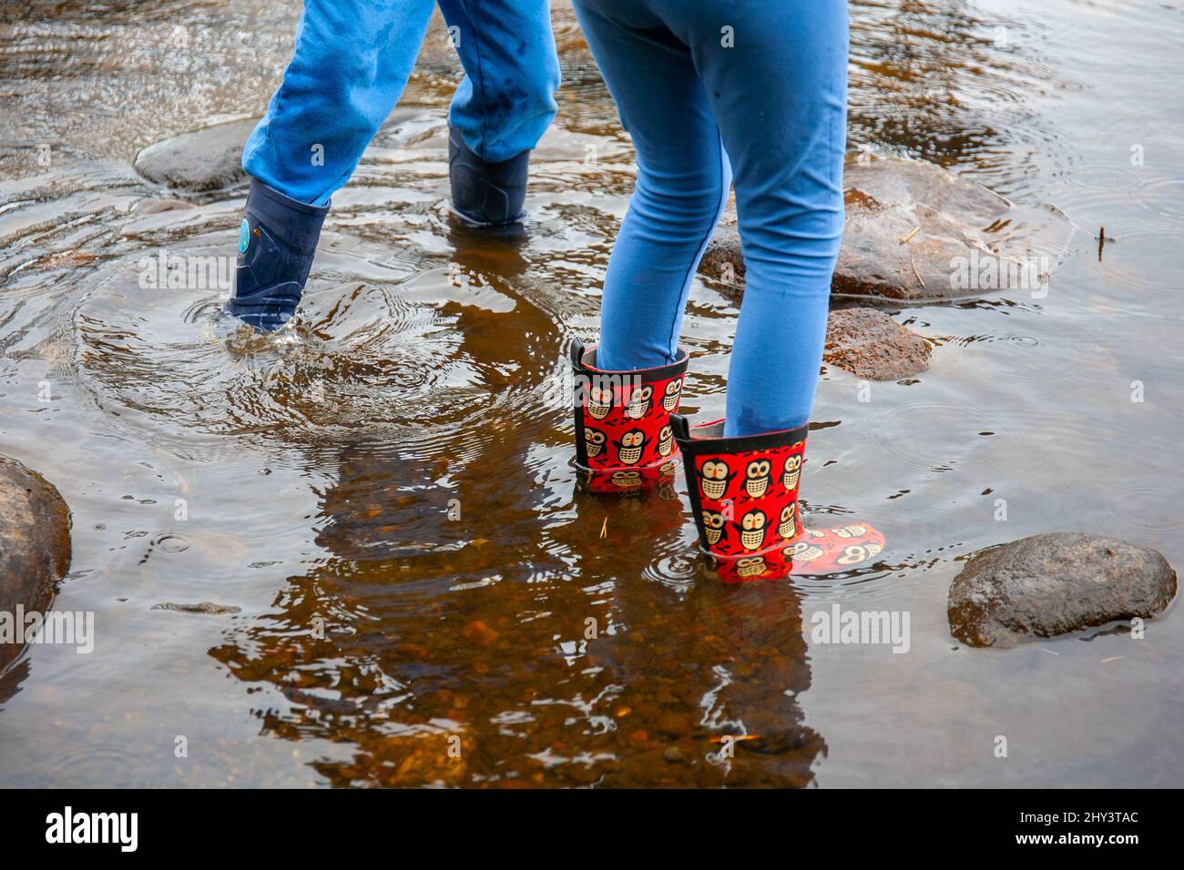 Closeup of the people in the river wearing waterproof rubber boots ...