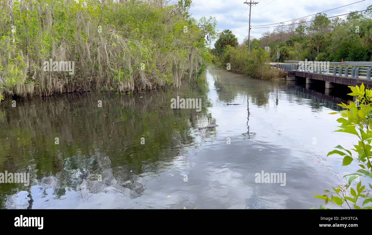 The Everglades with their wetlands are a popular landmark in Florida ...