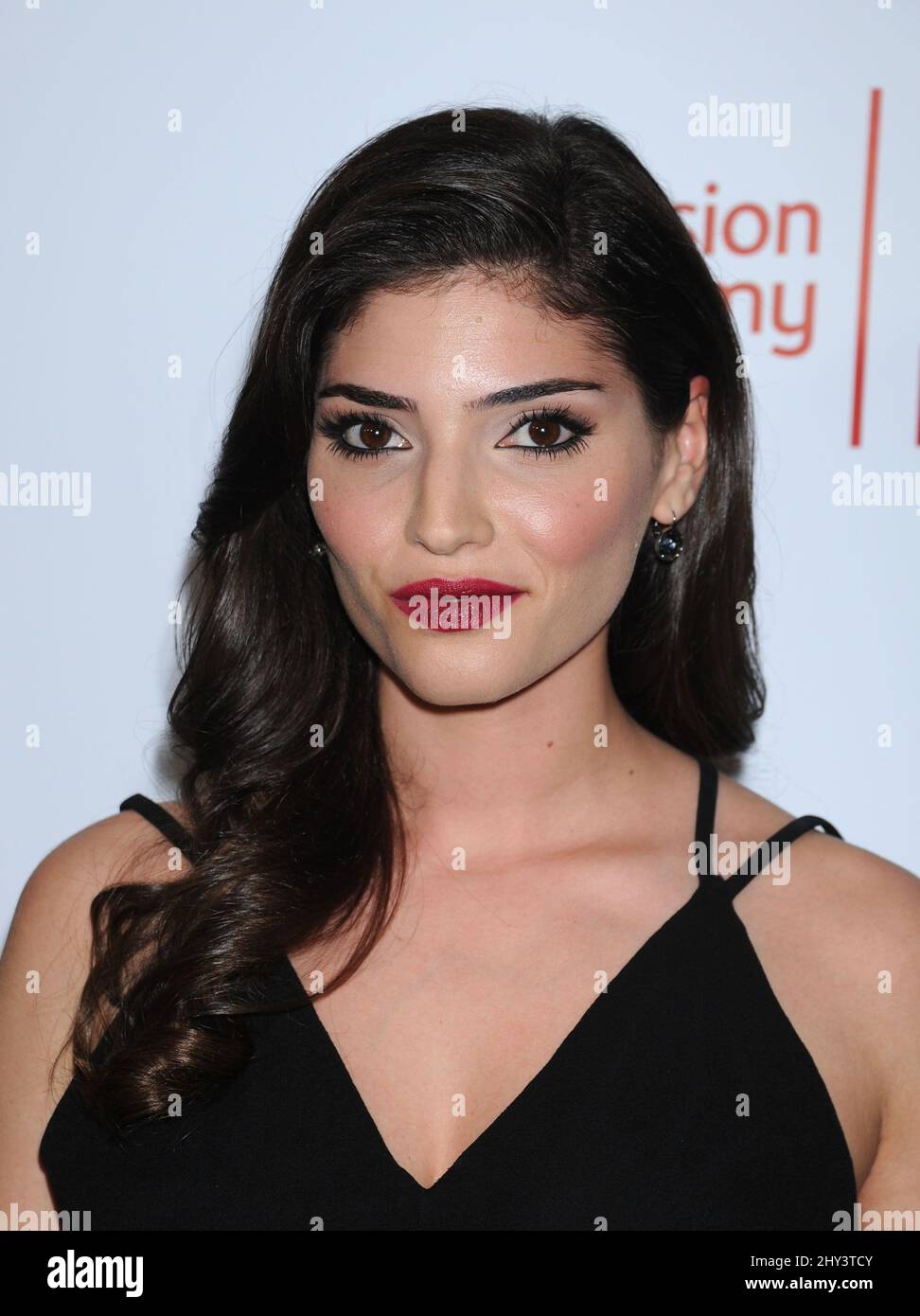 Amanda Setton attending the Television Academy's 23rd Hall of Fame Inductions held at the ...