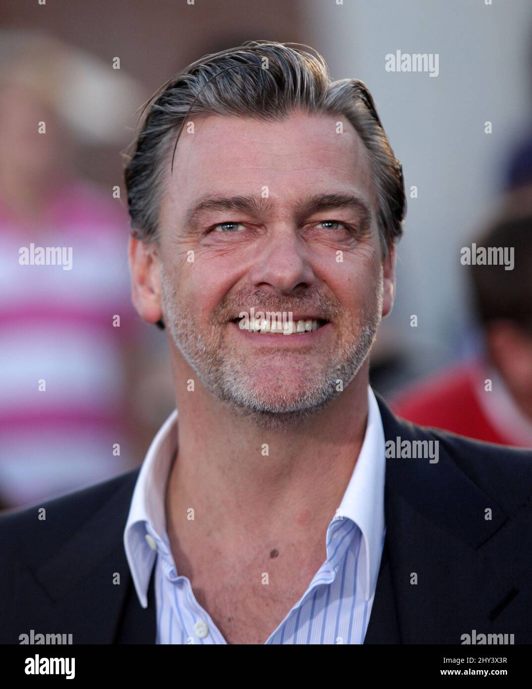 Ray Stevenson Dagonet