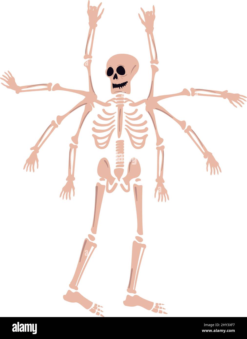 flat skeleton with many hands Stock Vector Image & Art - Alamy