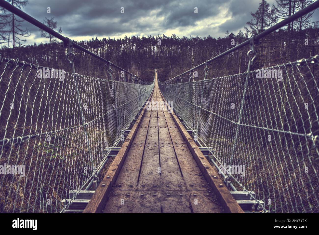 Suspension rope bridge in Hohe Schrecke, Germany Stock Photo - Alamy