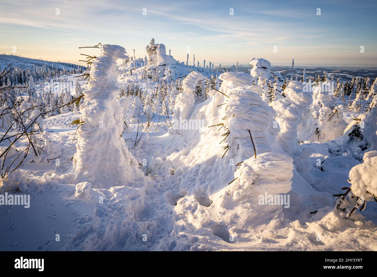 Snowy terrain of Bavarian Forest - Sumava National Park, Germany ...