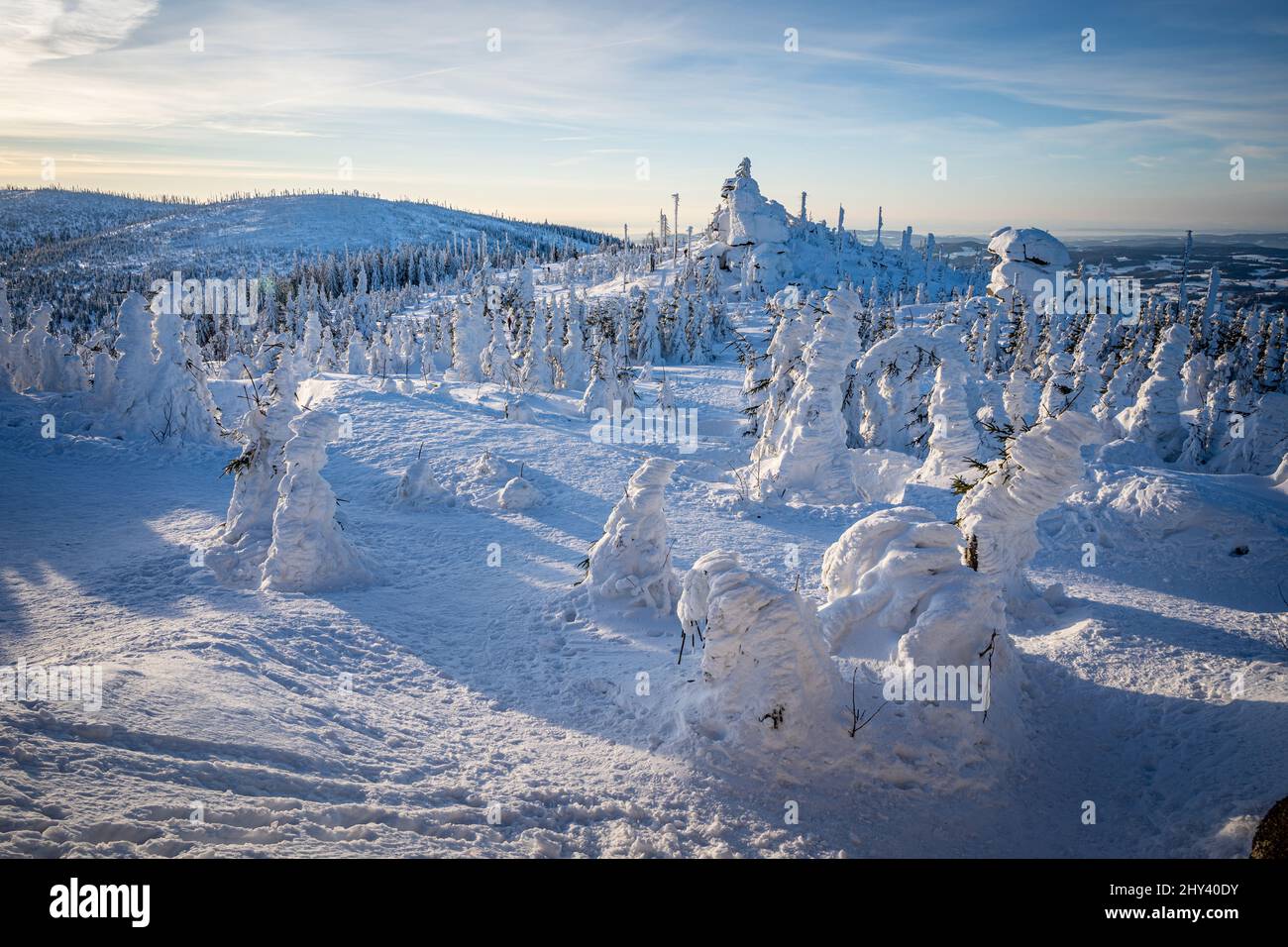 Snowy landscape of Dreisesselberg, Bavarian Forest - Sumava National ...