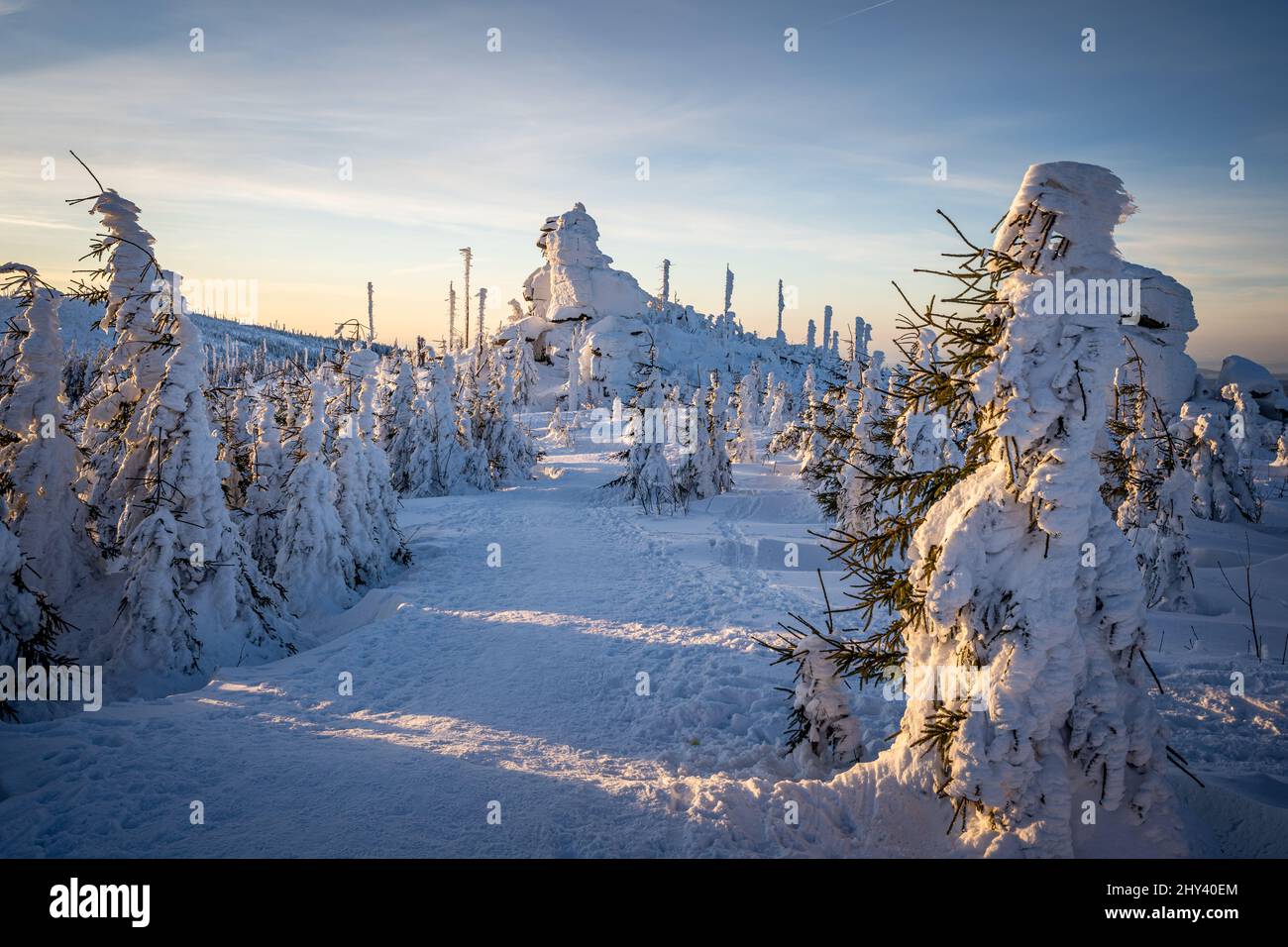 Sunrise scene from snowy Dreisesselberg in winter, Bavarian Forest ...