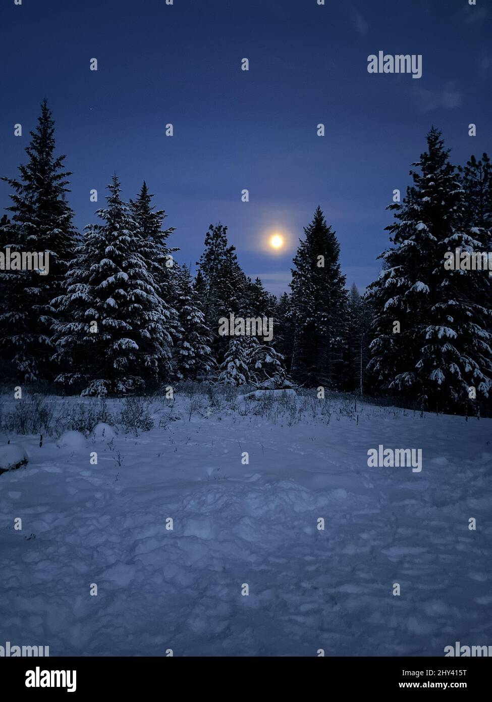 Frozen forest scenery hi-res stock photography and images - Alamy