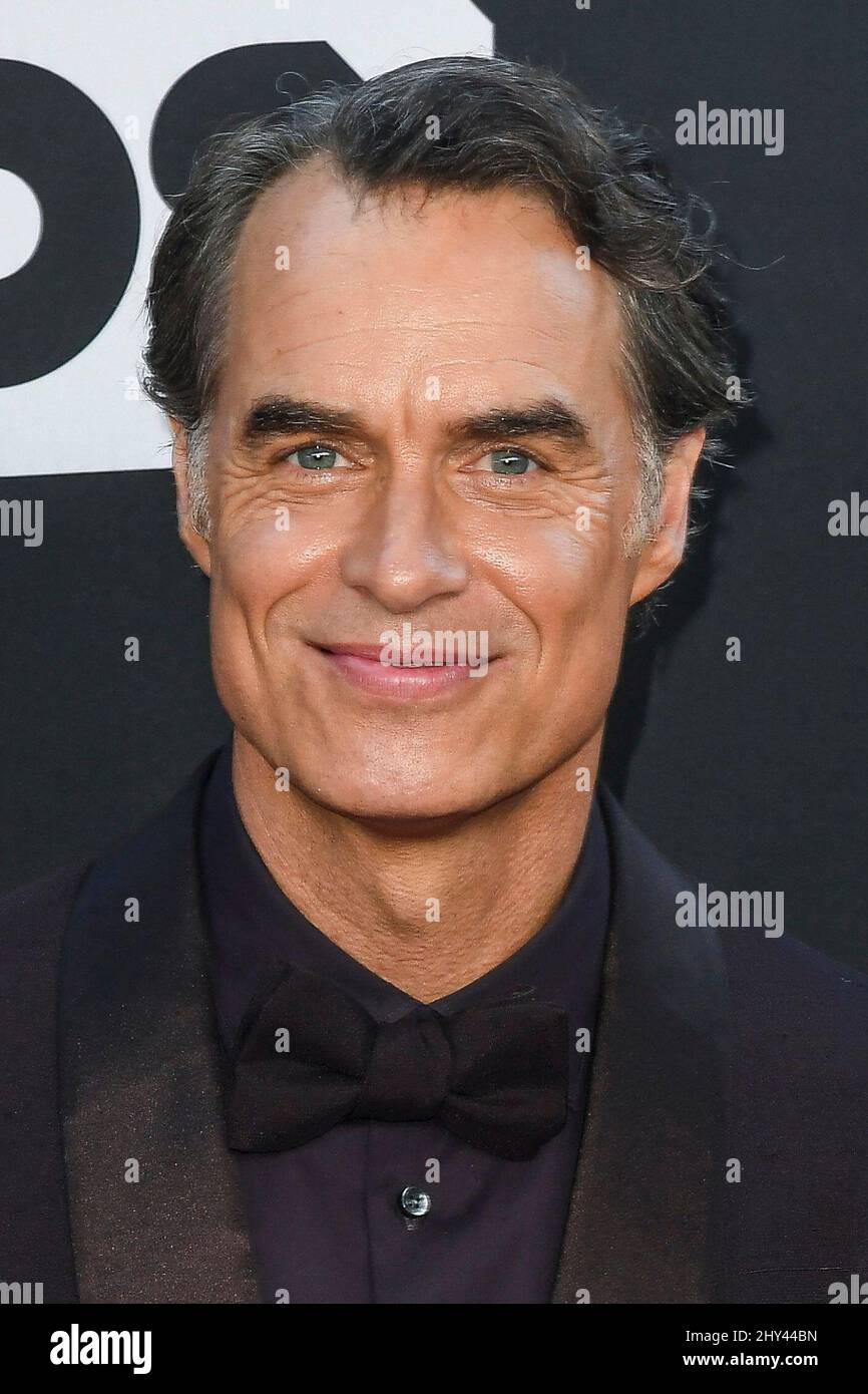 Murray Bartlett attends the 27th Annual Critics Choice Awards at ...