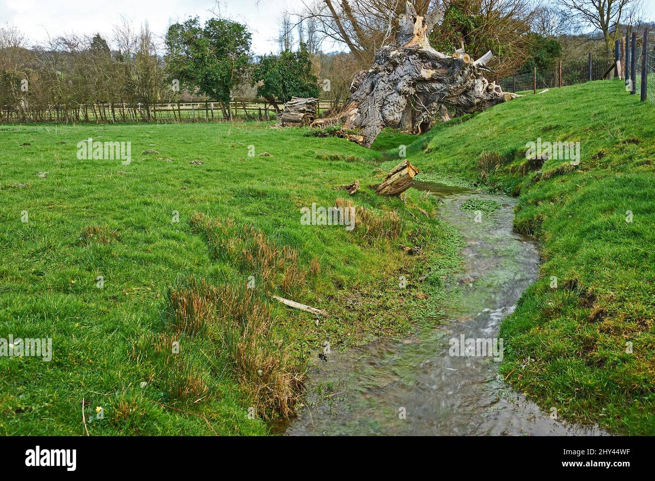 Clear water of a small meadow stream flows down across the fields from ...