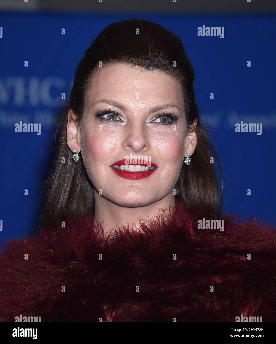 Linda Evangelista 2014