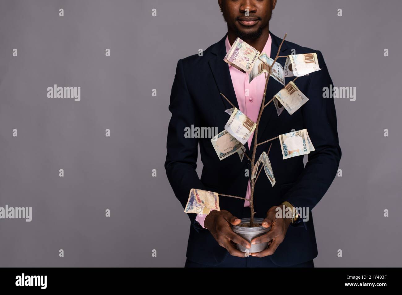 Young African businessman holding a money tree Stock Photo - Alamy